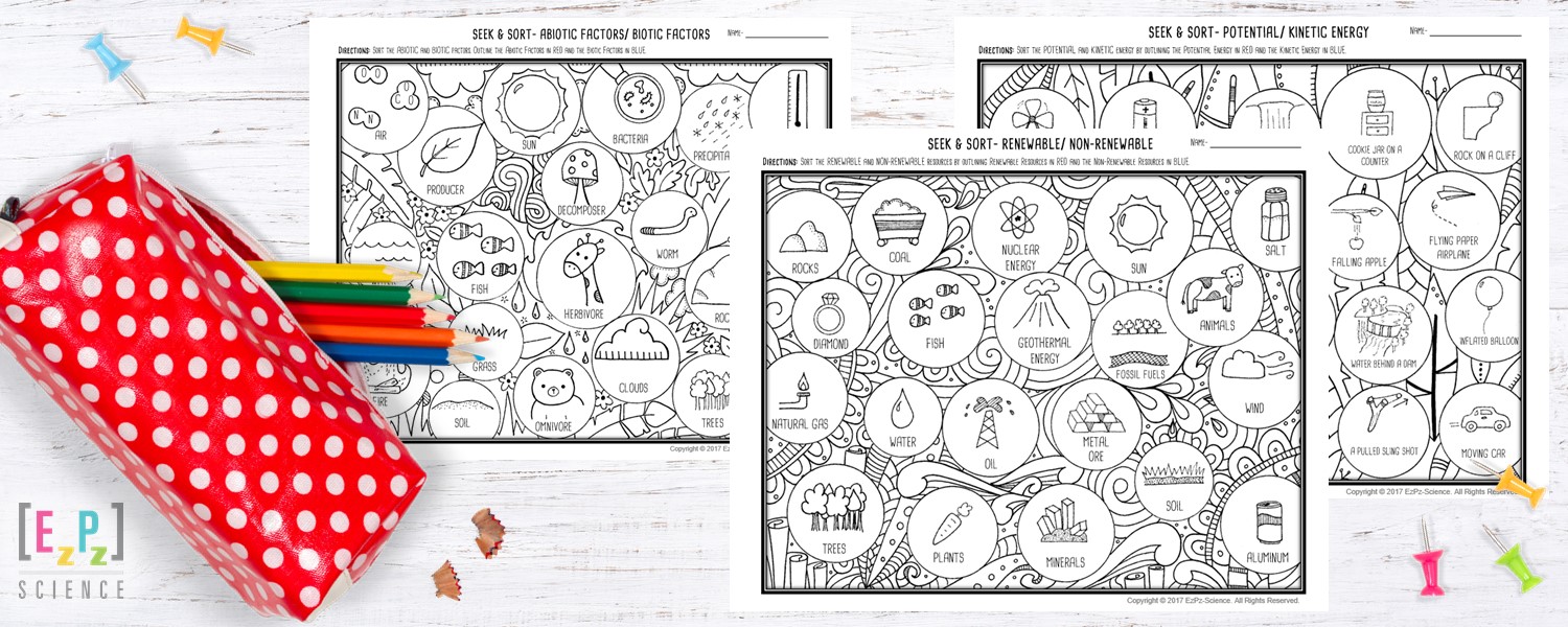 The Science Behind Seek & Sorts