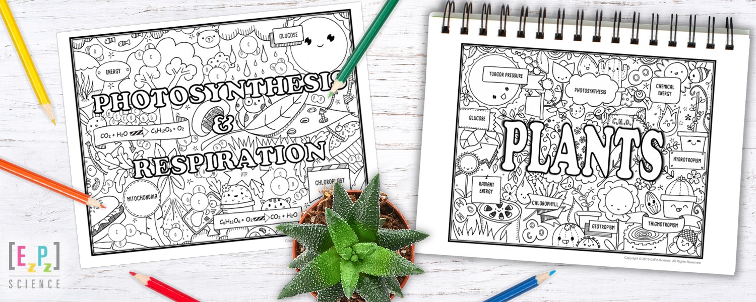 3 Ways to Teach Plants