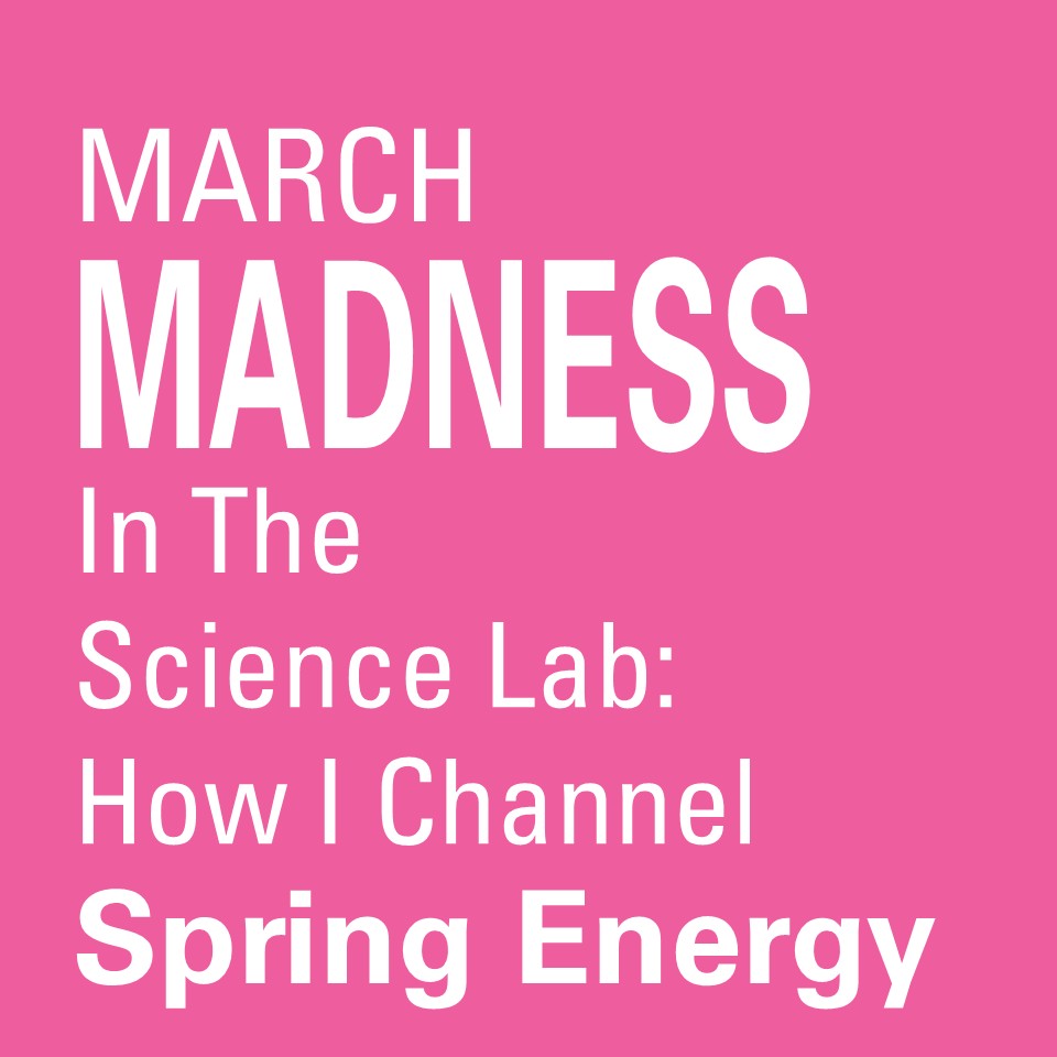 March Madness in the Science Lab: How I Channel Spring Energy